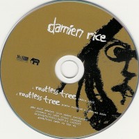 Buy Damien Rice Rootless Tree (single) Mp3 Download